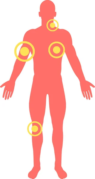 Human Body Anatomy Icon Vector Illustration Stock Vector by ...
