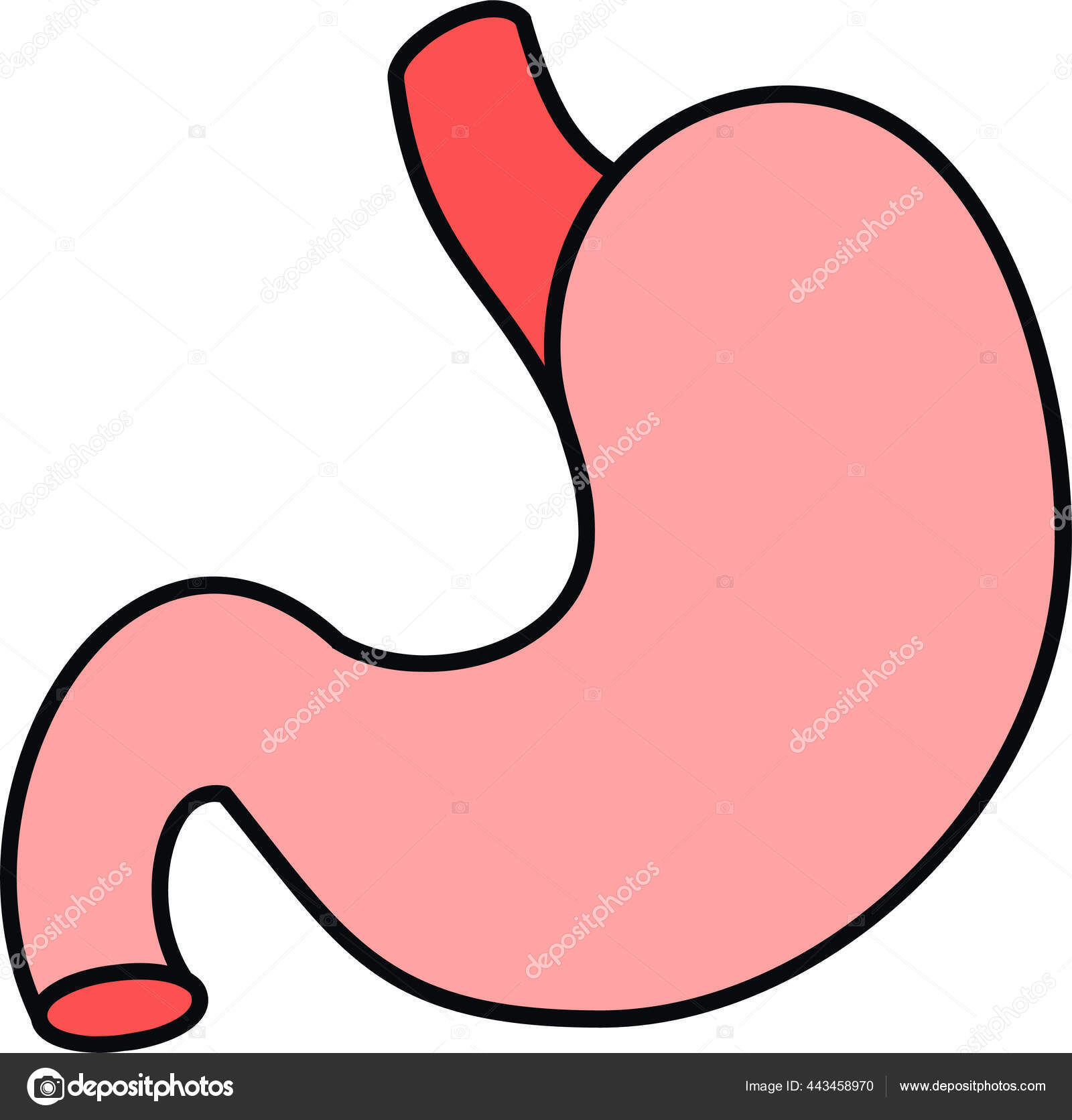 Ilustración Vectorial Dibujos Animados Estómago Humano Vector de stock ...