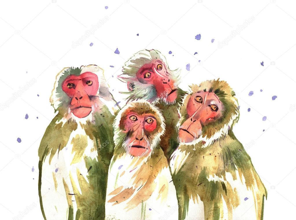 Watercolor monkey, Japan Stock Illustration by ©Shat88 #107217926