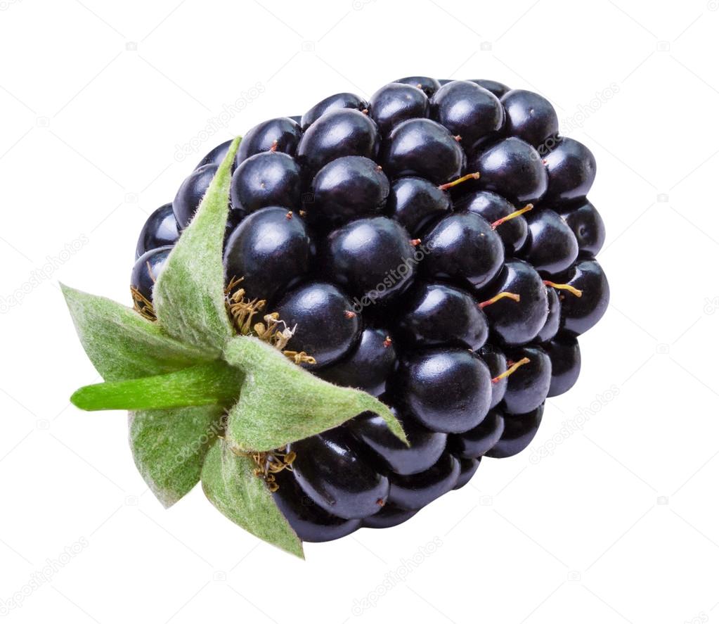 Single Blackberry