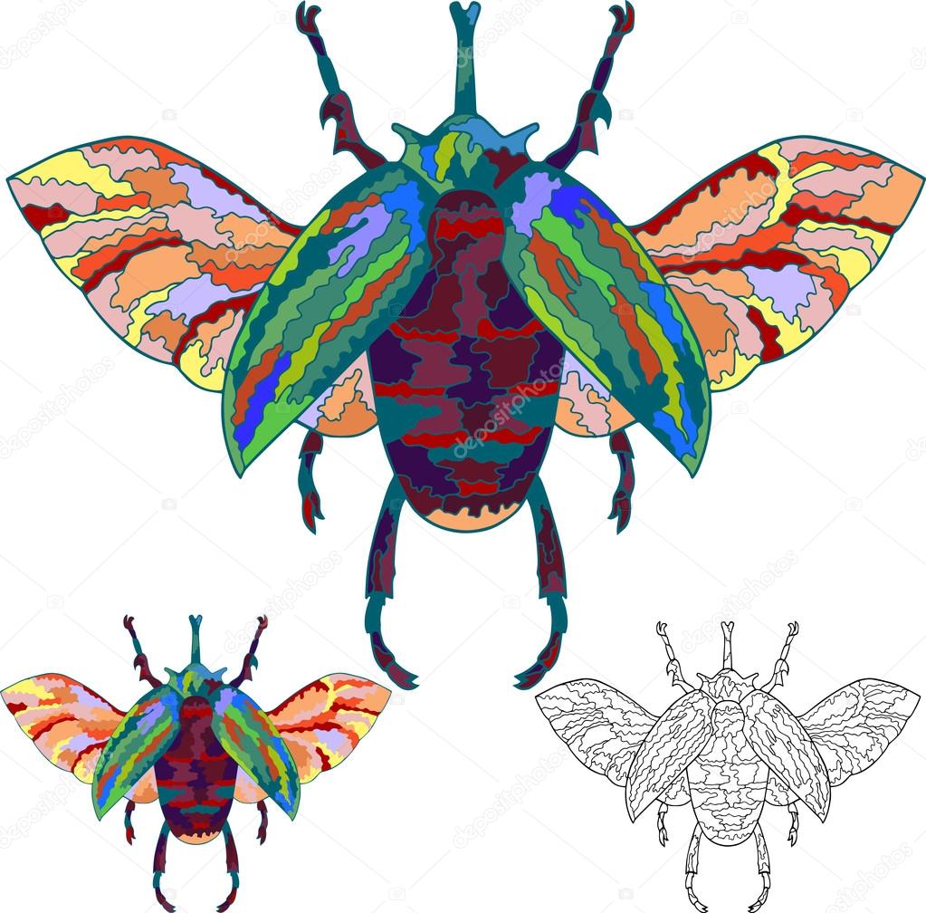 Exotic vector bug Stock Vector by ©NataliaVarlamova 117264306