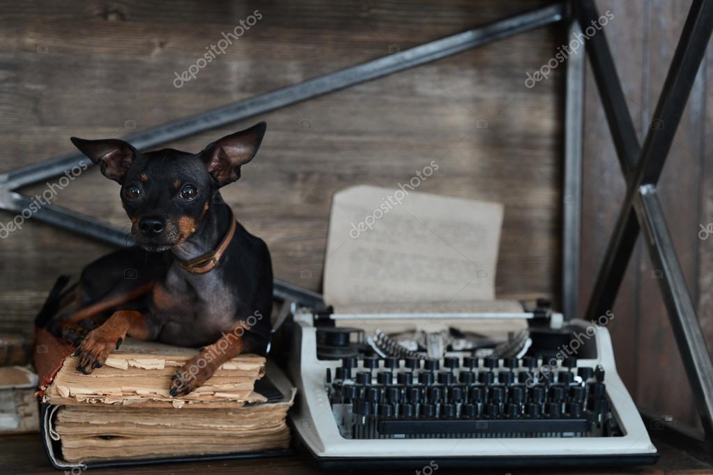 Dog Typewriter