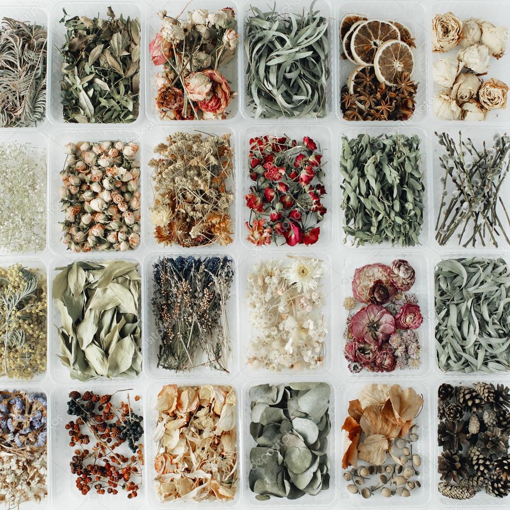 Various of dried tea flowers Stock Photo by ©maximleshkovich 120737060