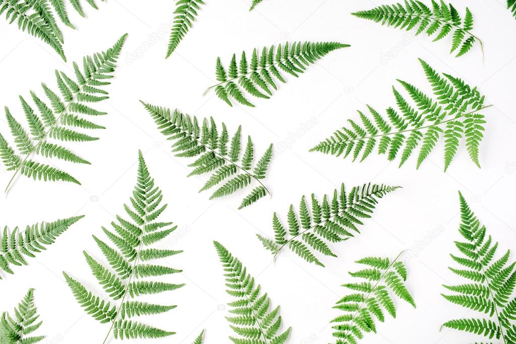 Fern leaves pattern Stock Photo by ©maximleshkovich 121856196