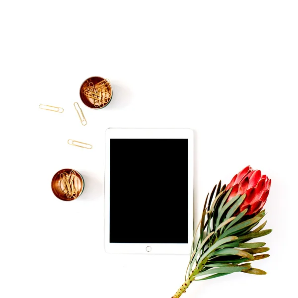 Proteus Stock Photos, Royalty Free Proteus Images | Depositphotos