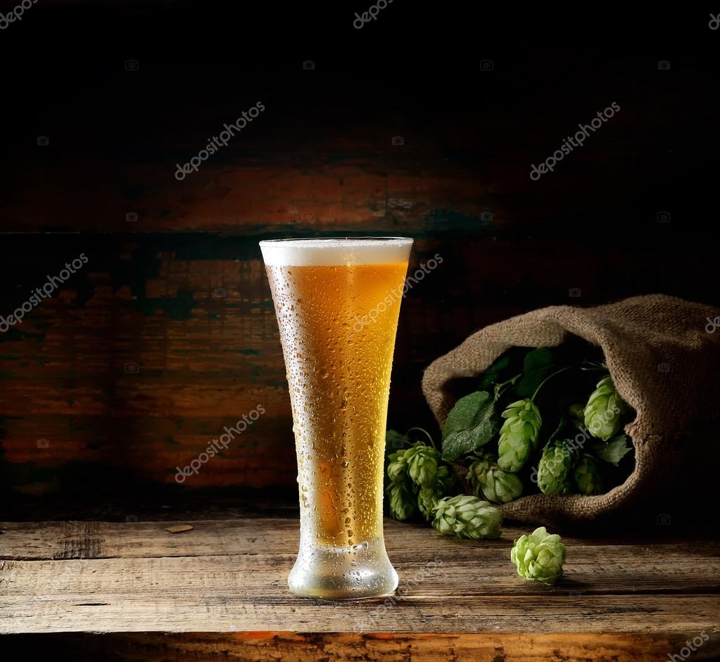 Beer in glass and hops Stock Photo by ©venge.mail.ua 105936386