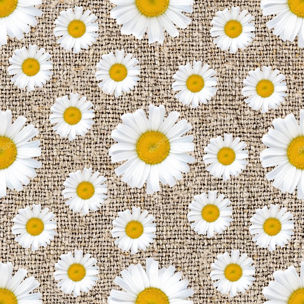 Seamless daisy pattern Stock Photo by ©Interpas 114071314