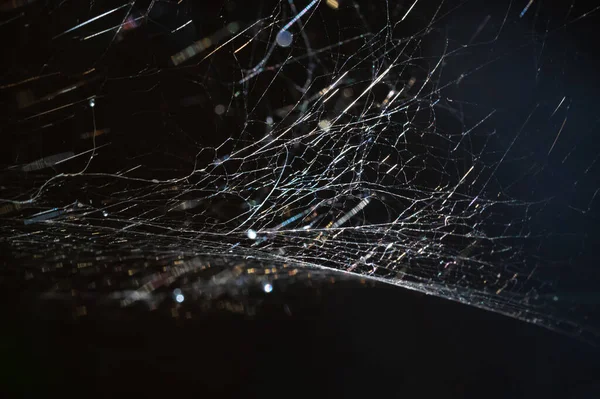 Windshield spider web Stock Photos, Royalty Free Windshield spider web ...