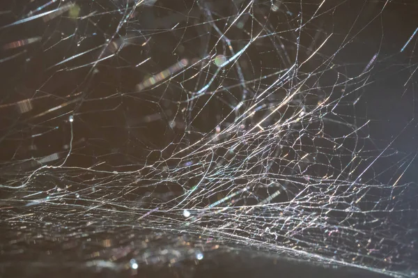 Windshield spider web Stock Photos, Royalty Free Windshield spider web ...