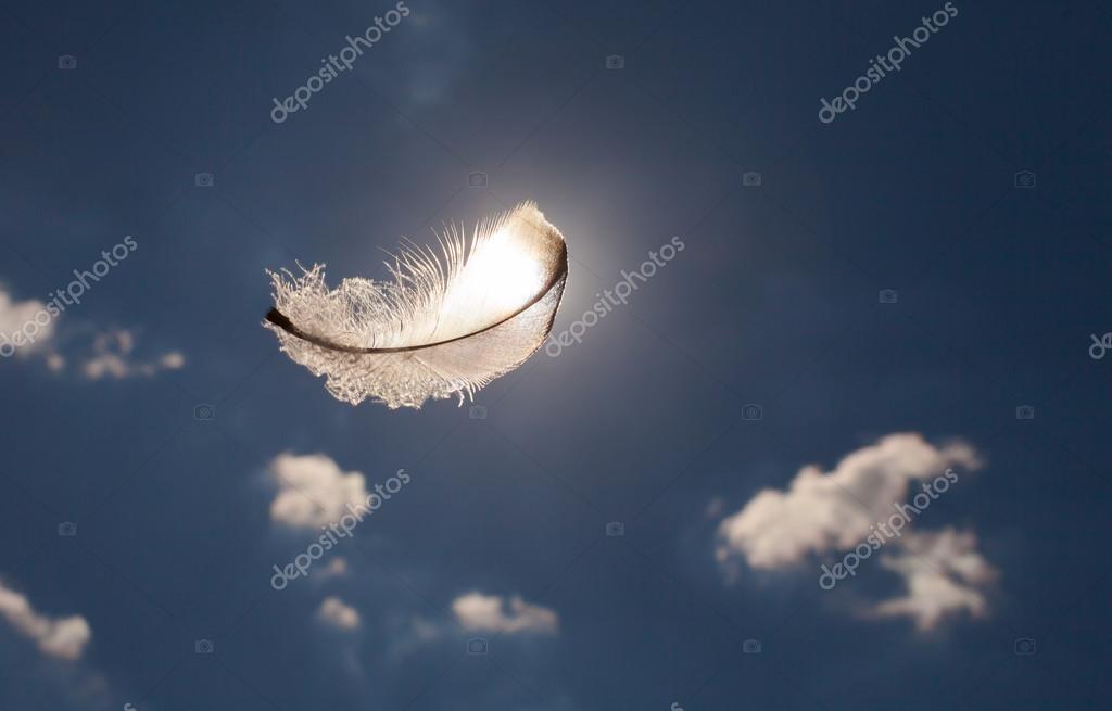 Feather floating in the sky. Stock Photo by ©kieferpix 117079058