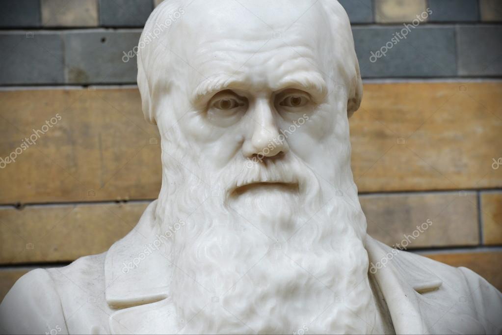 Charles darwin | Statue of Charles Darwin — Stock Photo © 1000Words ...