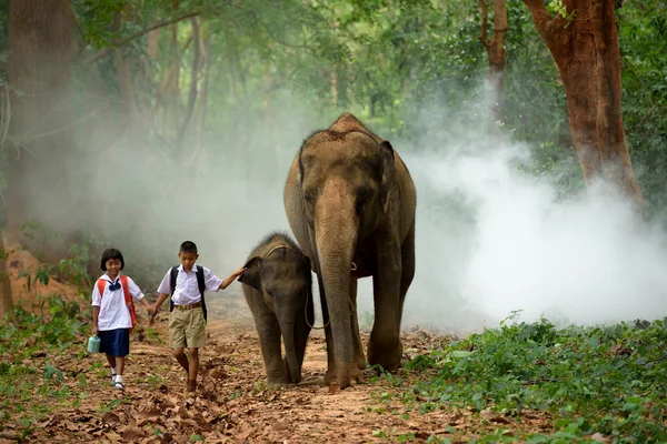 Laos wildlife Stock Photos, Royalty Free Laos wildlife Images ...