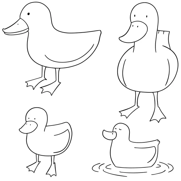 Vonalas rajz kacsa — Stock Vektor © Prawny #64292057