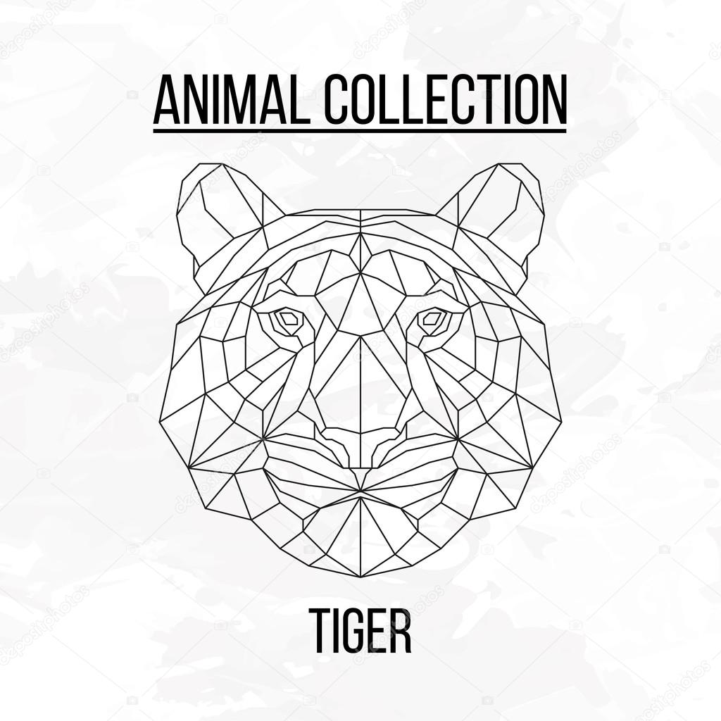 Geometric Tiger Drawing