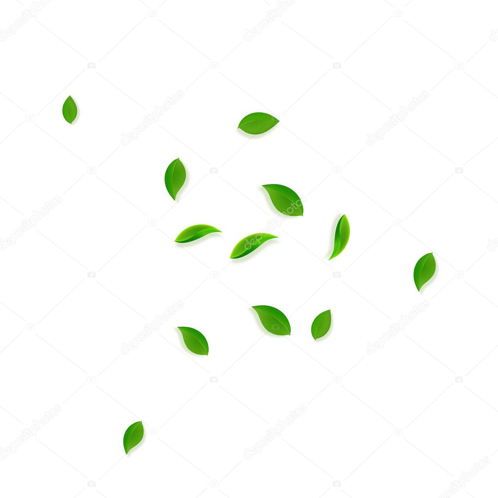 Hojas verdes cayendo. El té fresco sale volando al azar. Follaje de ... Hojas verdes cayendo. El té fresco sale volando al azar. Follaje de ...