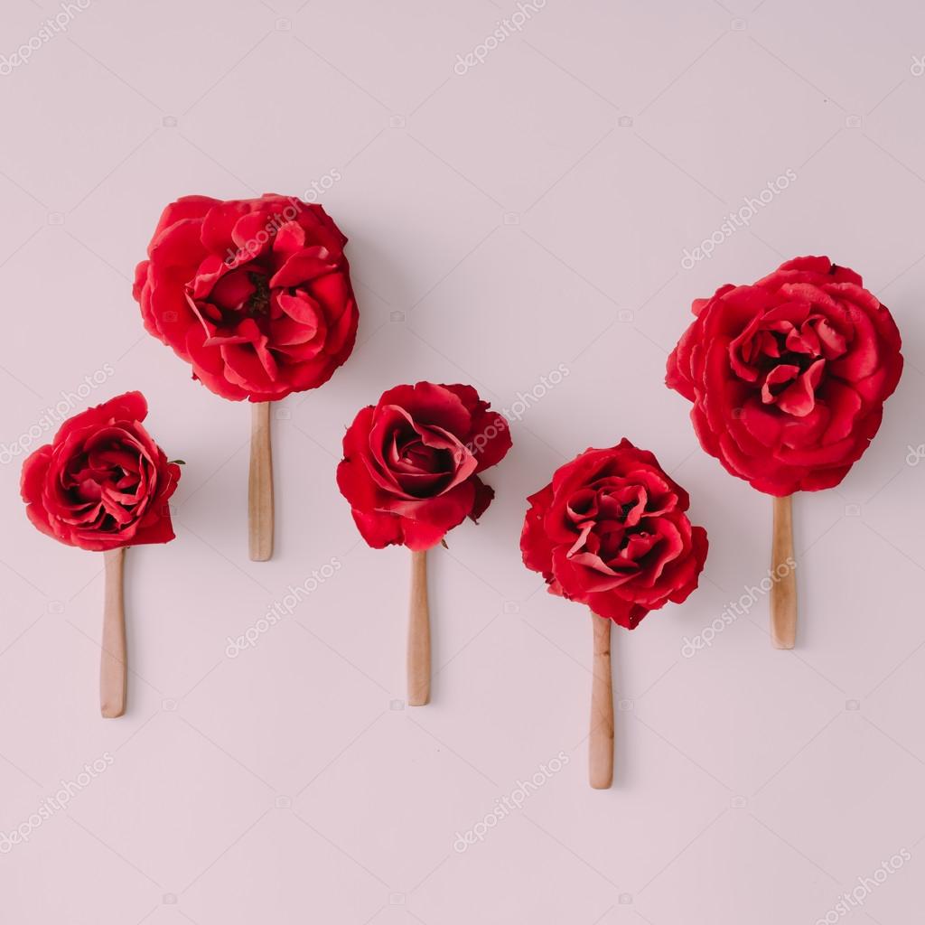 Red roses with lollipop sticks Stock Photo by ©Zamurovic 109236862