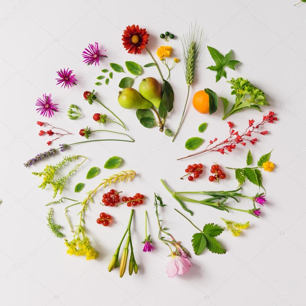 Various natural things neatly arranged in circle — Stock Photo ...