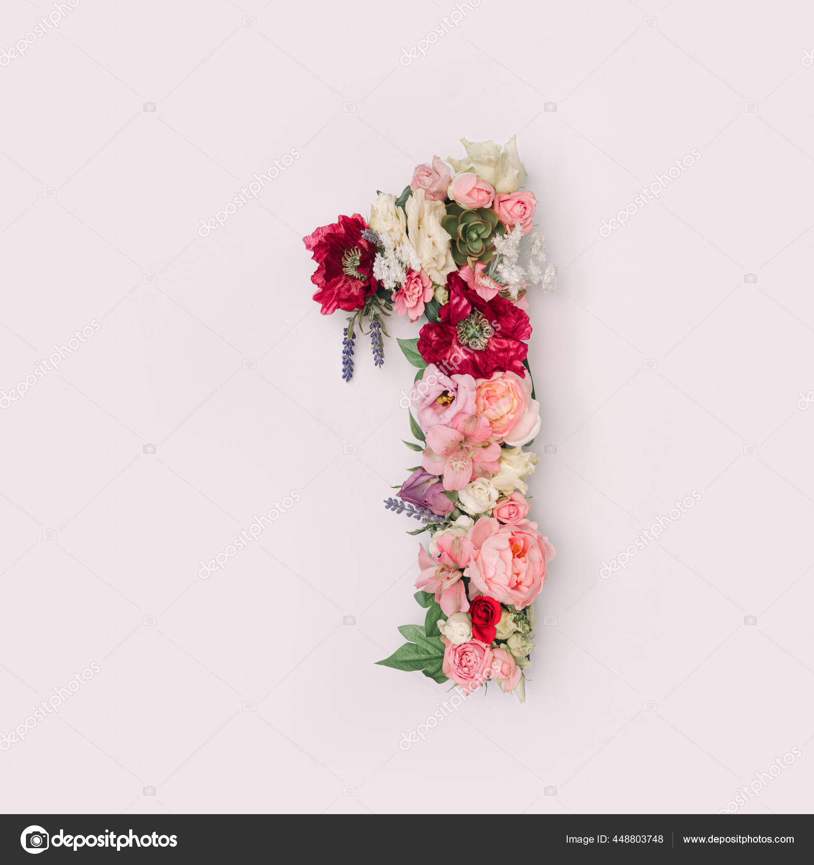 Number Made Real Natural Flowers Leaves Flower Font Concept Unique ...