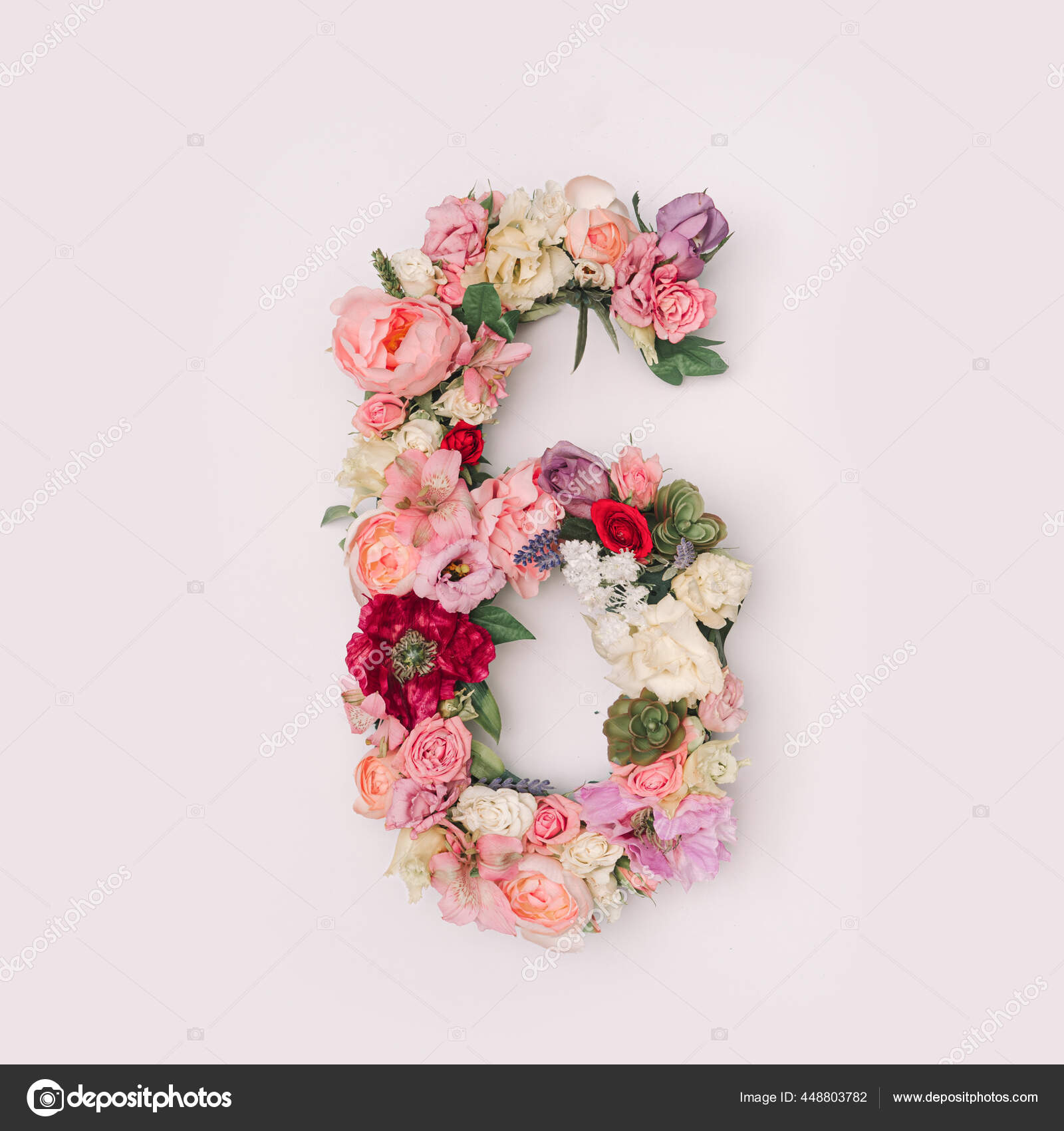 Number Made Real Natural Flowers Leaves Flower Font Concept Unique ...