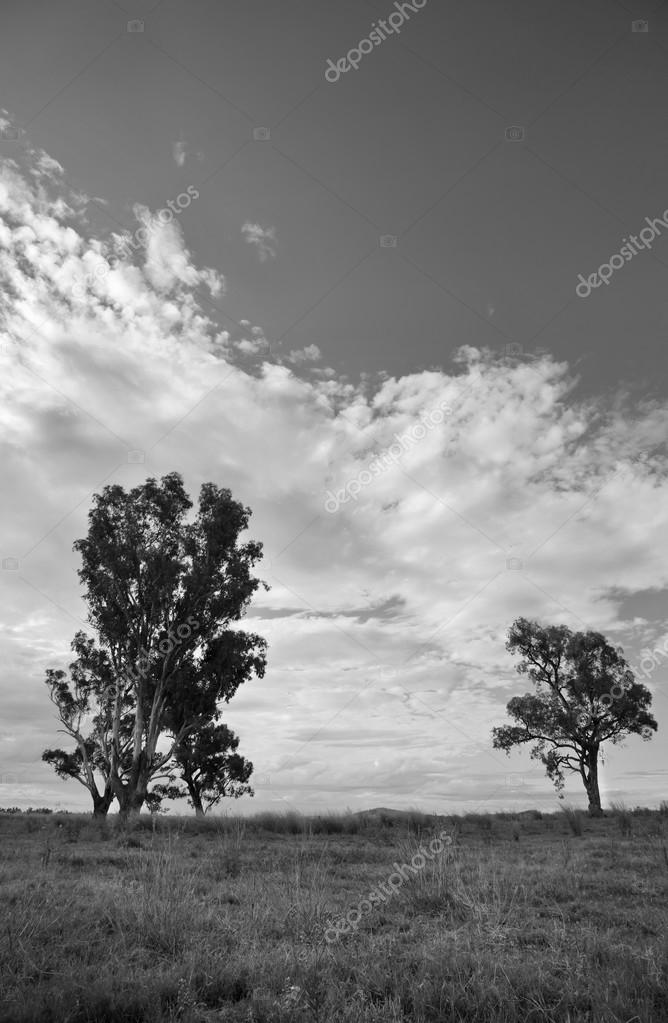 Trees and Clouds Stock Photo by ©NickRH 109137198