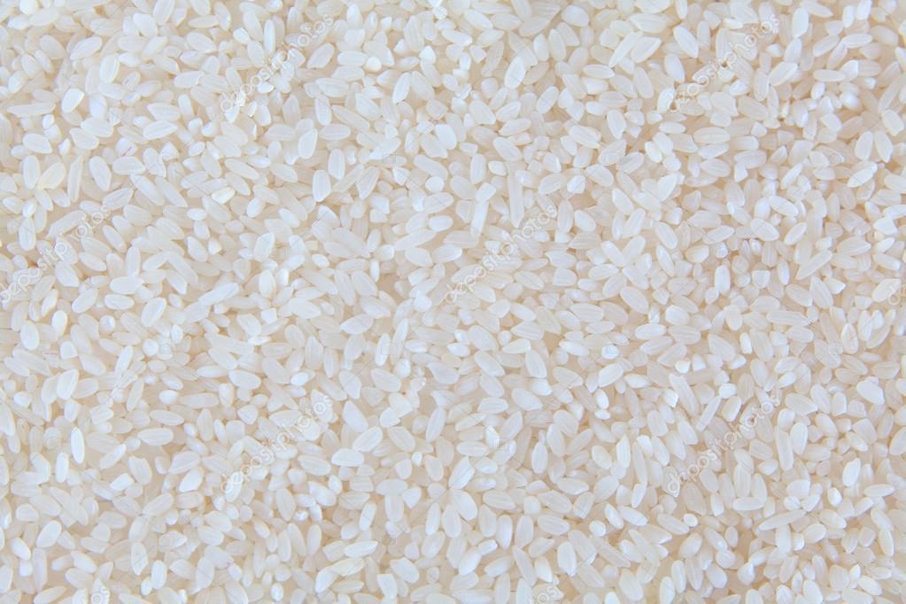 Rice isolated on white background — Stock Photo © Solstzia #121496718
