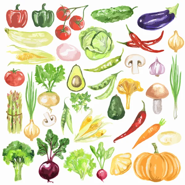 2,721 Watercolor vegetables Vector Images - Free & Royalty-free ...