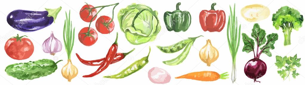 2,721 Watercolor vegetables Vector Images - Free & Royalty-free ...