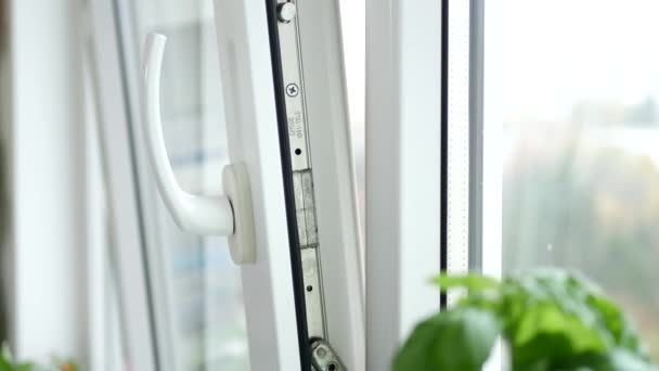 2,257 Windows frame Videos, Royalty-free Stock Windows frame Footage ...