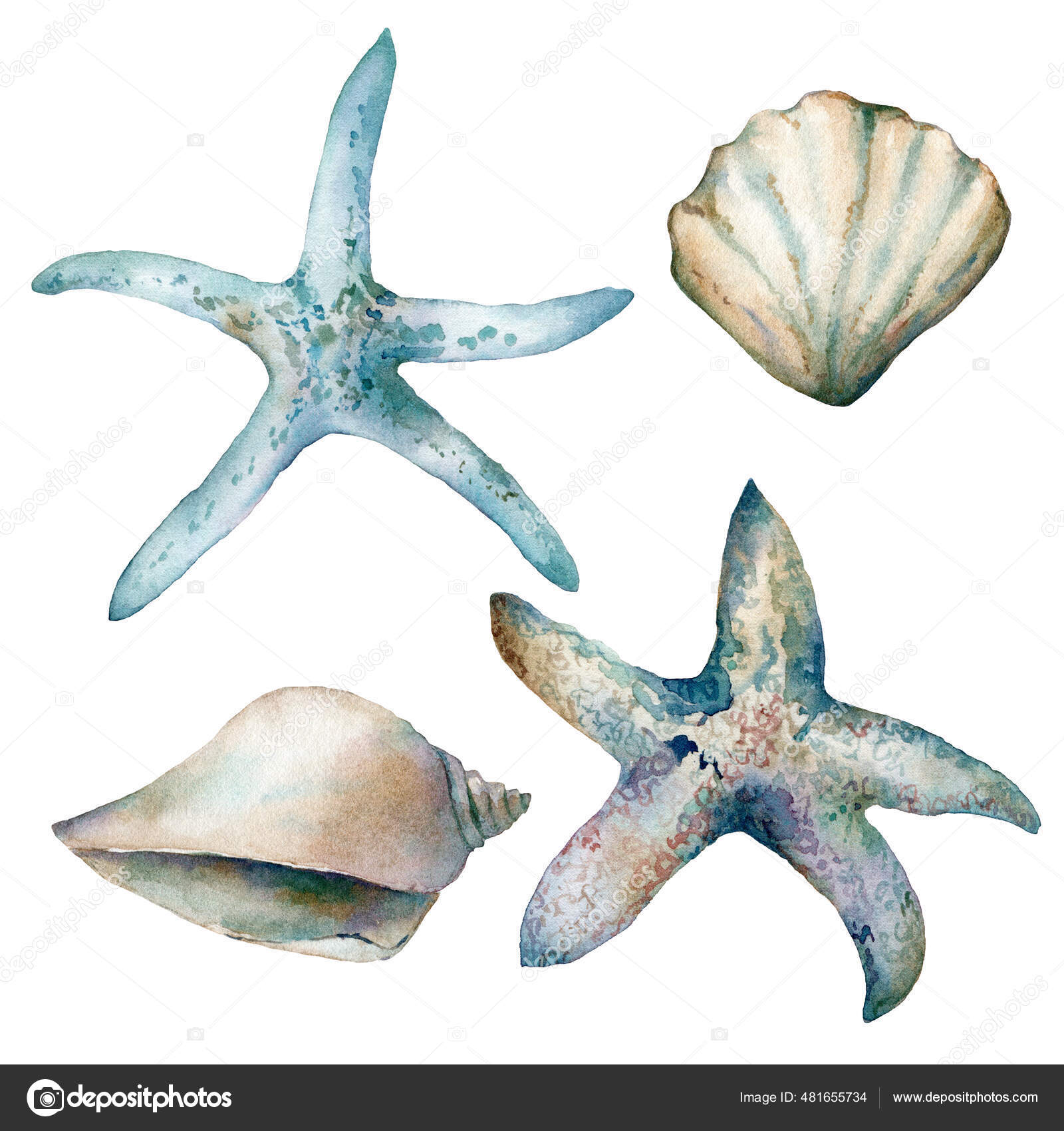 Nautical Starfish Design