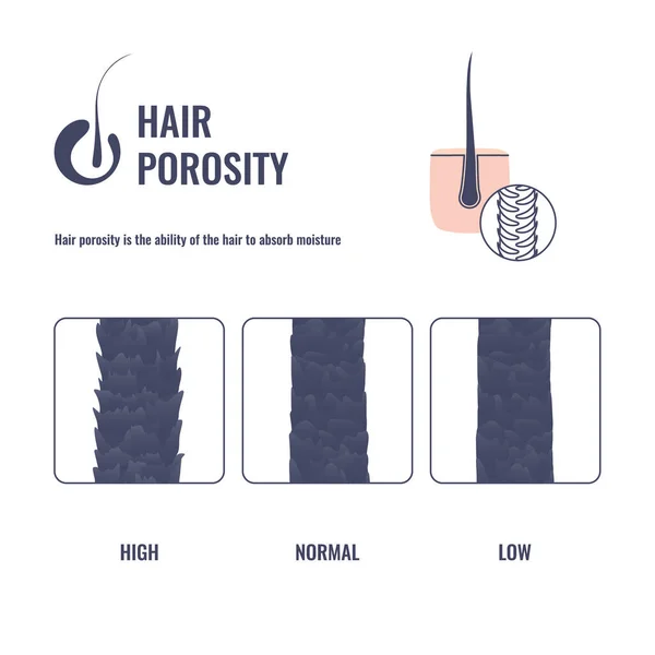 Porosity Vector Art Stock Images | Depositphotos