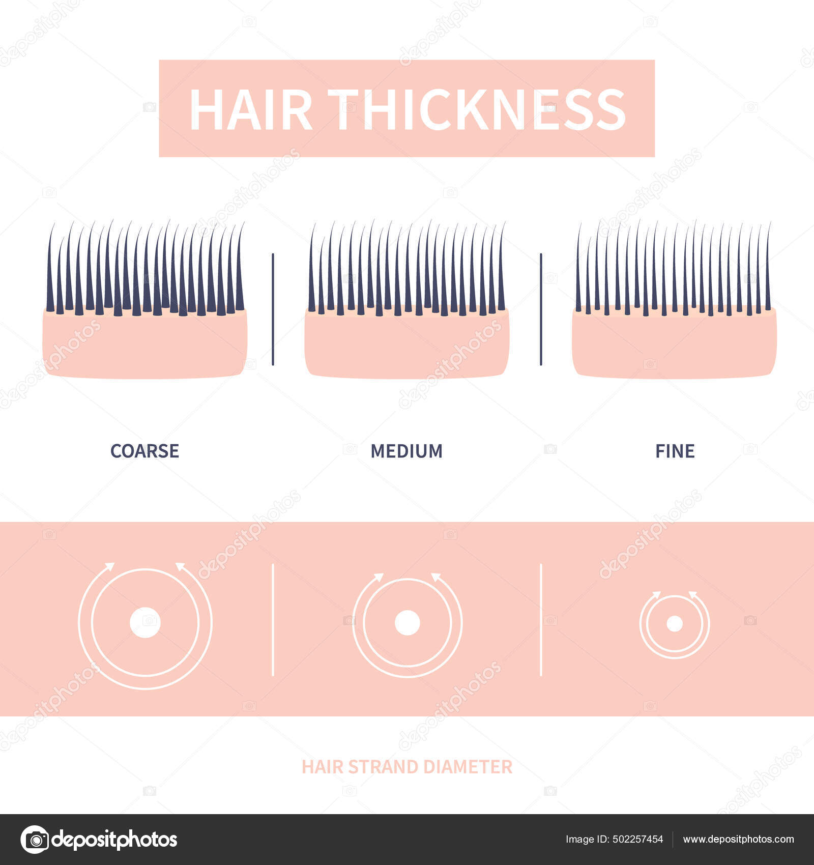 Hair Texture Chart Fine Medium Coarse