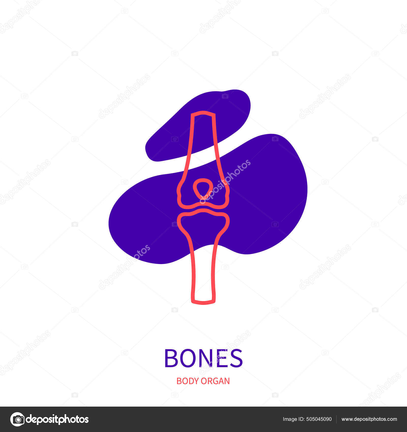 Bones skeletal system body part outline icon Stock Vector by ©Naumas ...