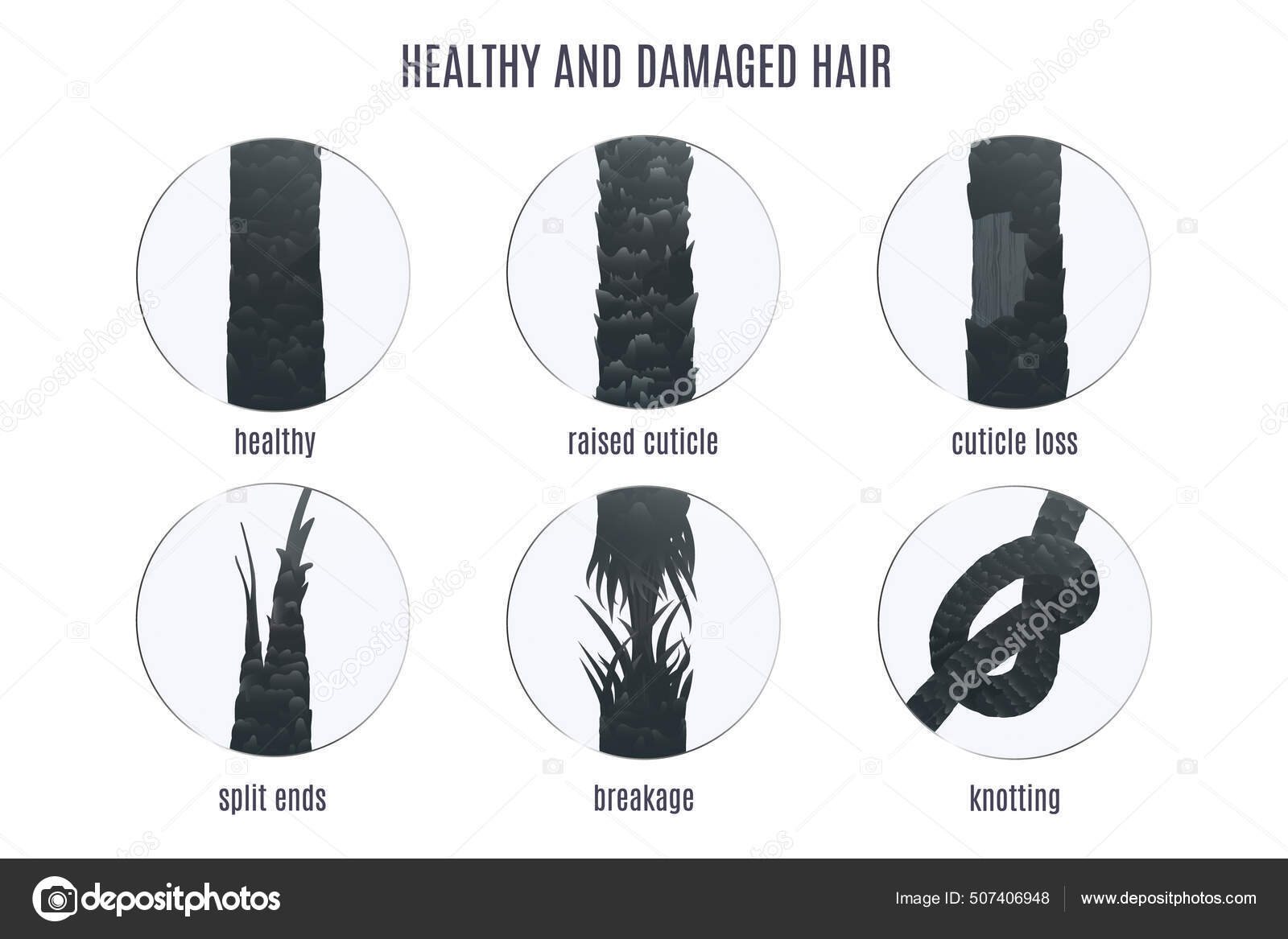 Set besar folikel yang diperbesar menunjukkan jenis kerusakan rambut ...