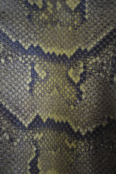 Fotos de Top python detay, Imagens de Top python detay sem royalties ...