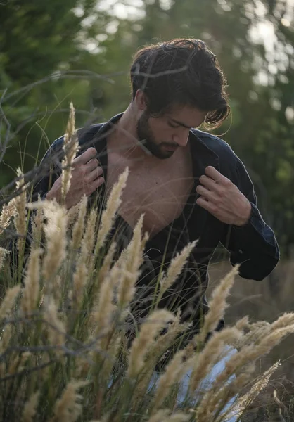 portrait of beautiful dark-haired italian model with light eyes and ...
