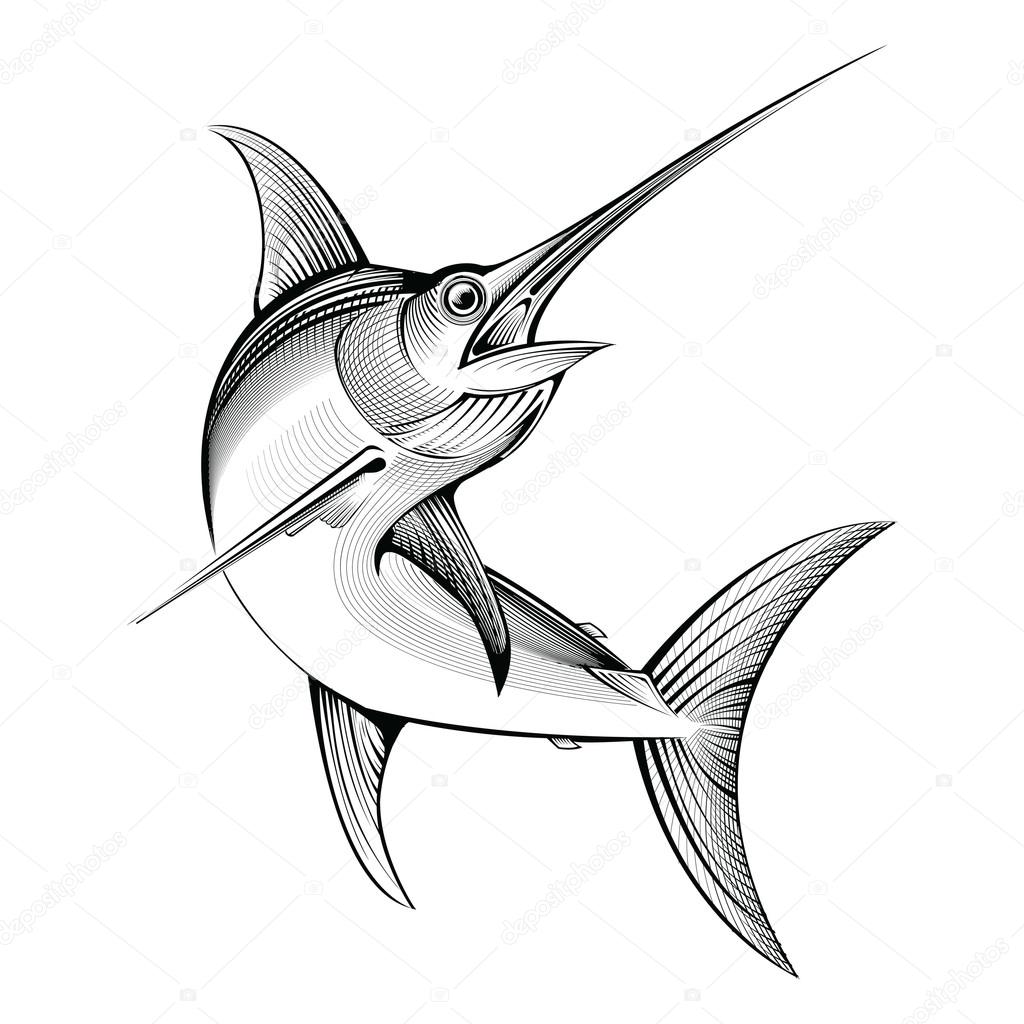 Vector swordfish. engraving illustration — Stock Vector © tettygreen ...