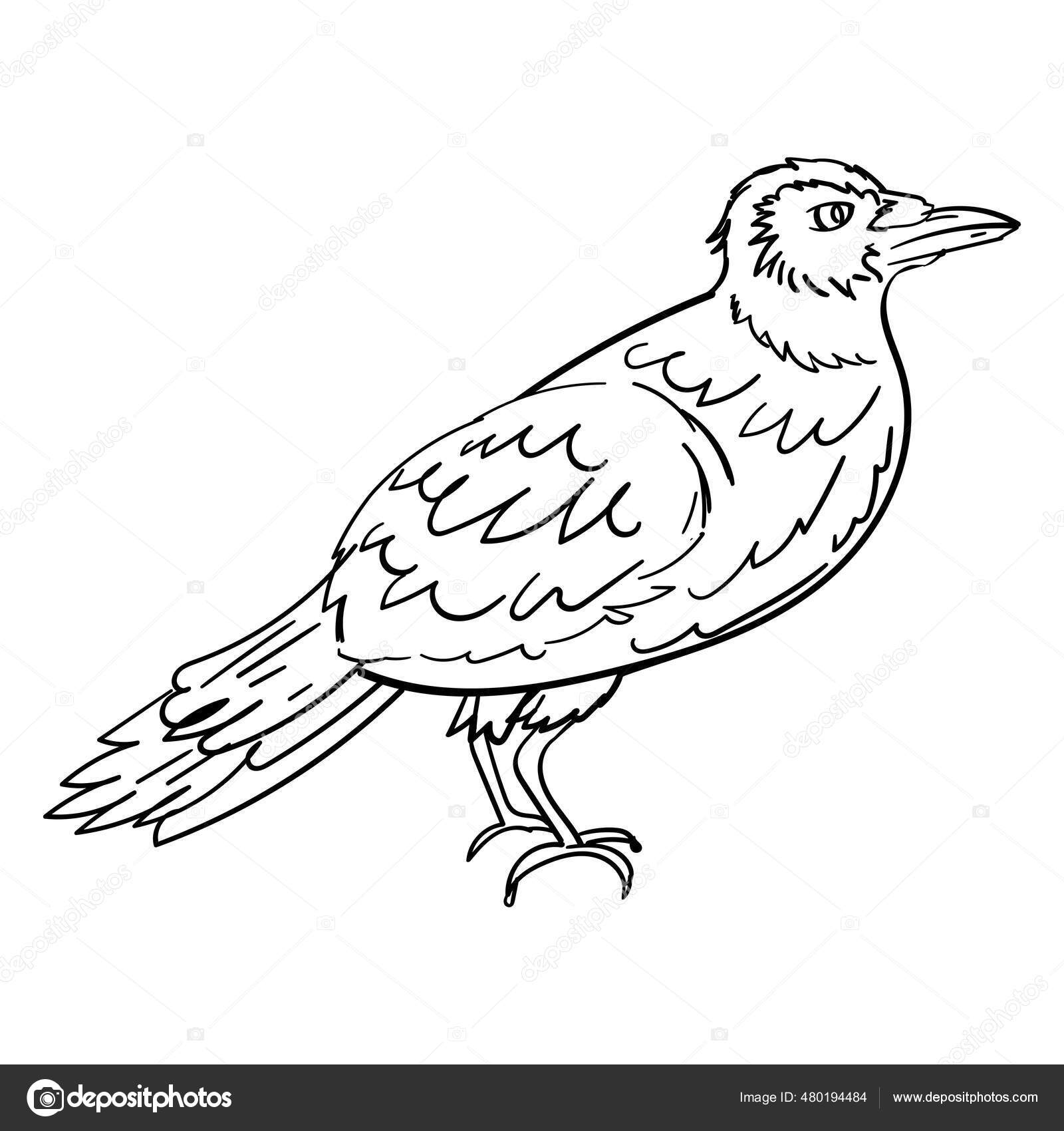Desenho Corvo Ilustração Para Colorir Vetor de ©meiyuan.china.gmail.com ...