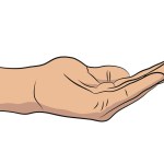 Open hand Stock Vector Image by ©Tribaliumivanka #12677706