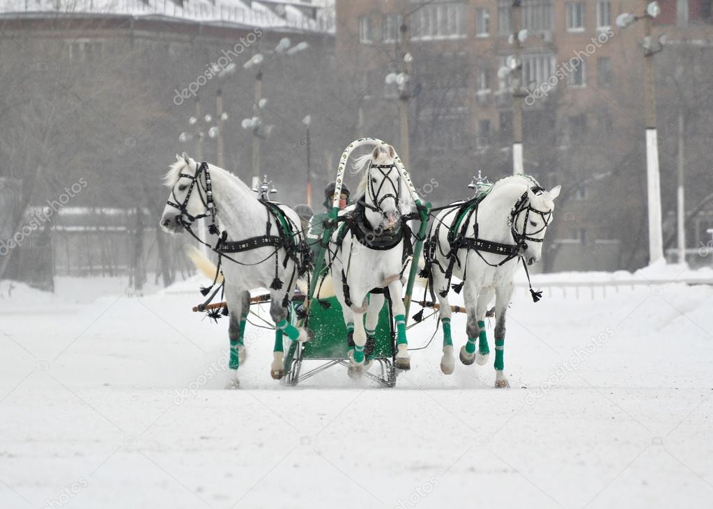 Winter Troika Ride