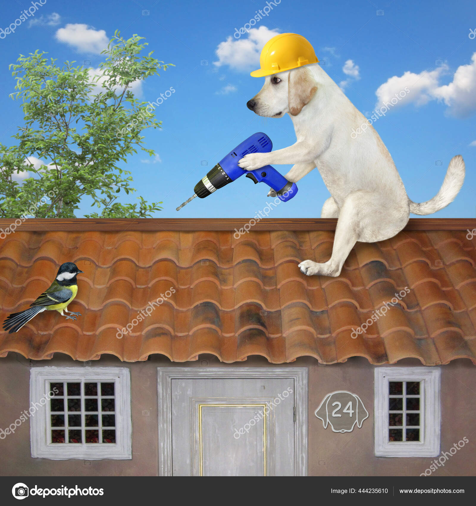 Dog Builder Construction Helmet Electric Drill Fixing Roof — Stock ...