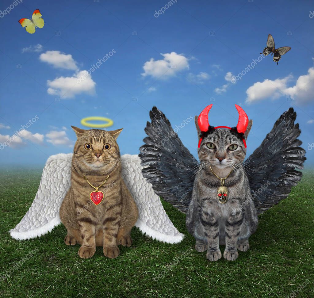 Un ángel gato beige y un diablo gato gris están sentados juntos en el ...