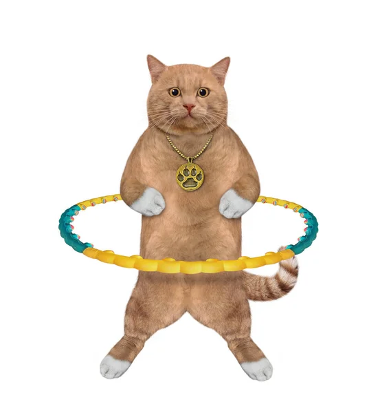 Cat with hula hoop 1 — Stock Photo © Iridi #156341412
