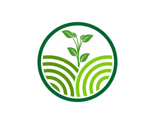 100,000 Logo agricultura Vector Images | Depositphotos