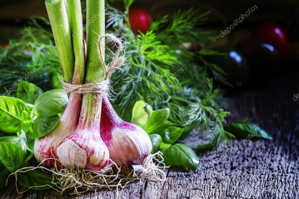 Spring young garlic in a bundle Stock Photo by ©5PH 113530440