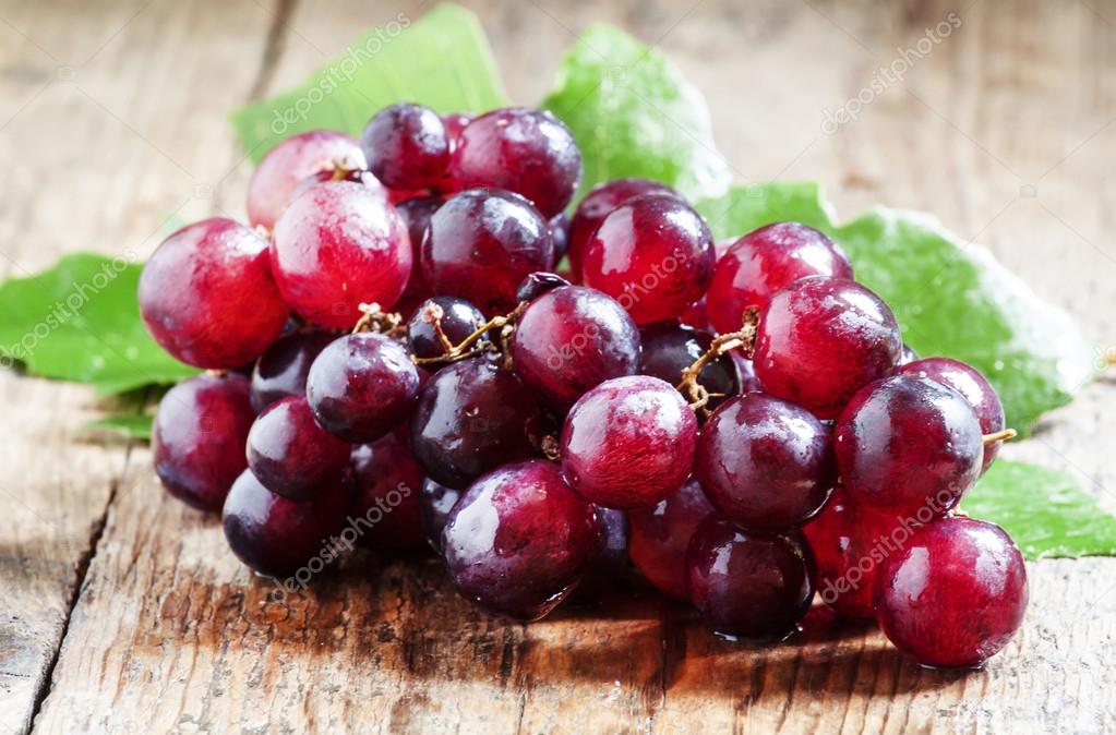 Fruta Roxa Pequena Redonda - FDPLEARN