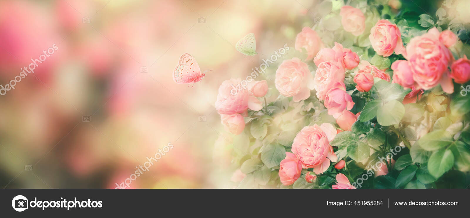 Vintage Flower Facebook Cover Photos