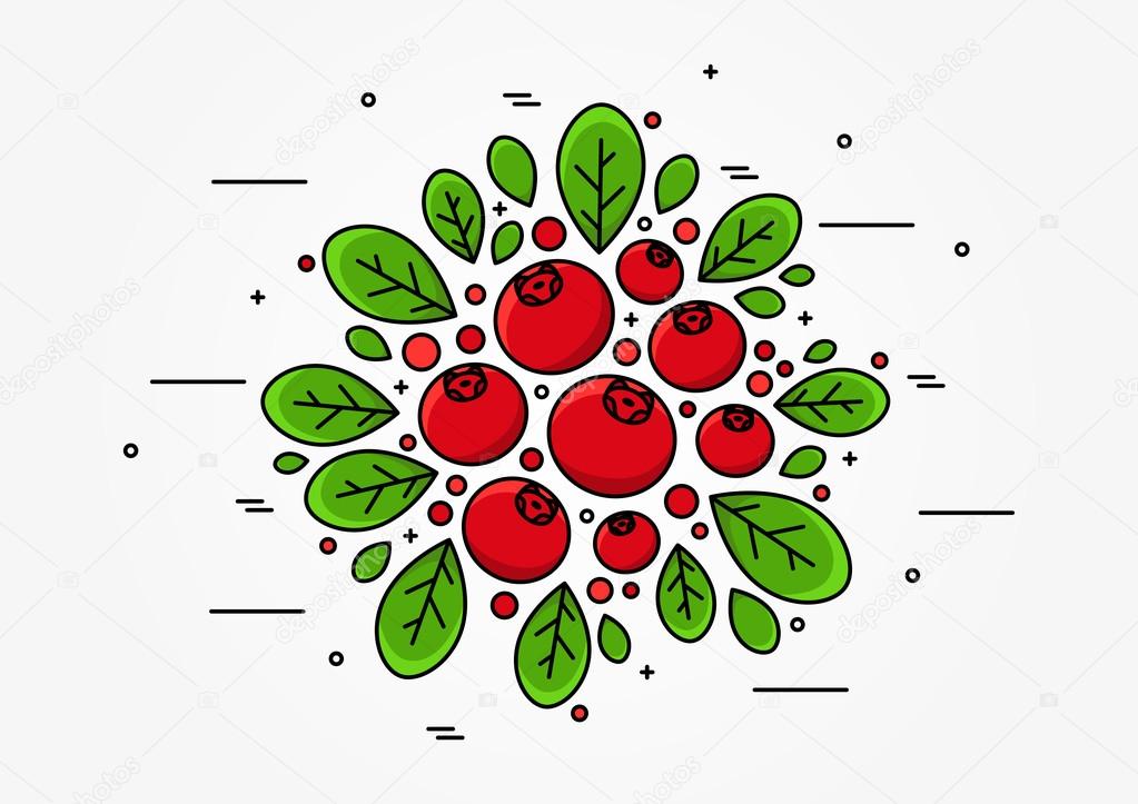 Cranberry line art vector concept Stock Vector by ©AleksOrel 123975074