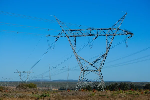 High voltage power lines with blue background - Stock Image - Everypixel