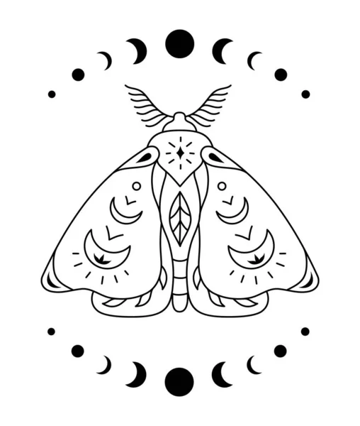 Moth Drawing Simple