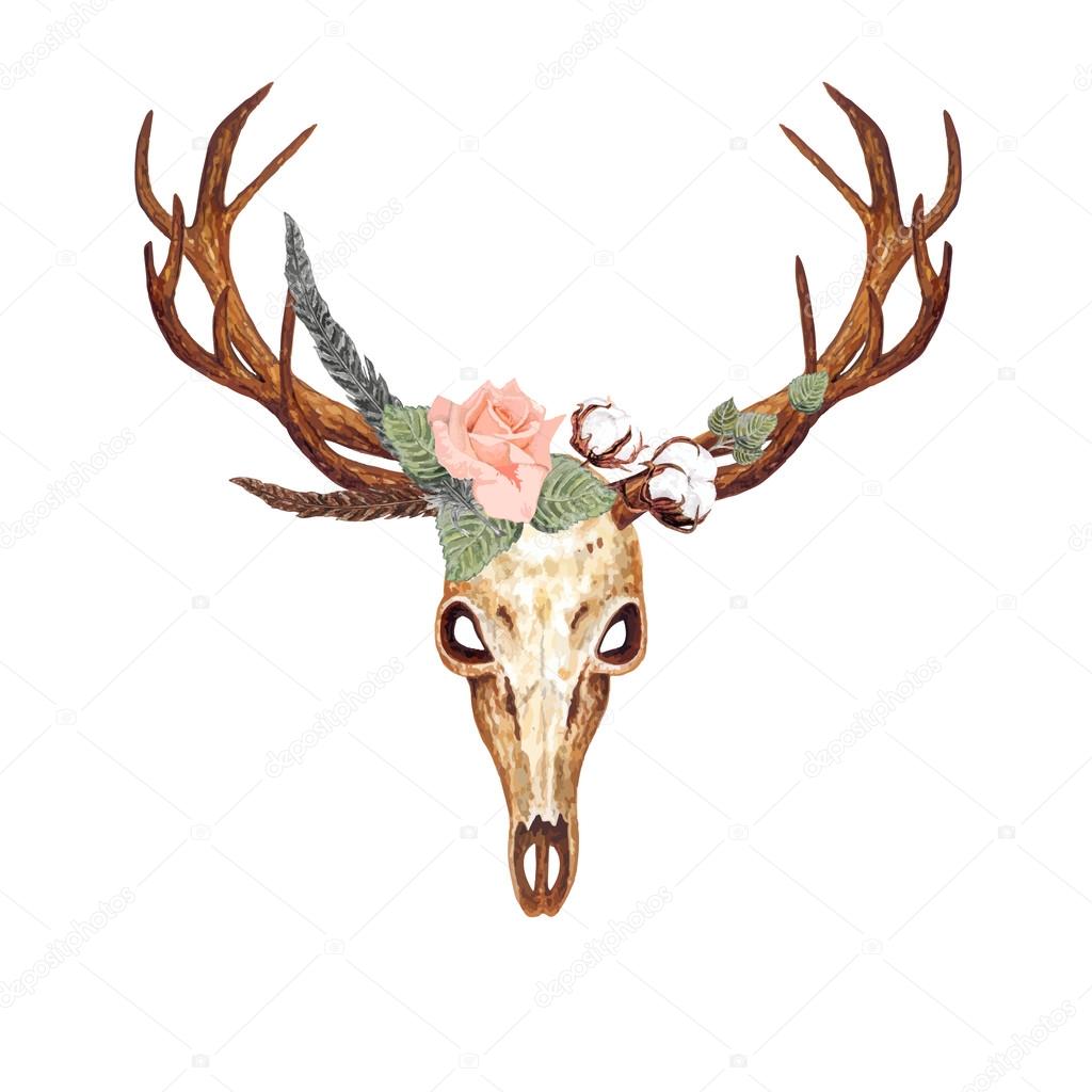 Watercolor deer skull | Watercolor Deer Skull — Stock Vector ...